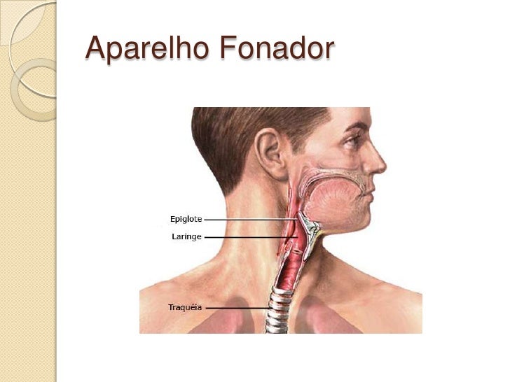 Aparelho Fonador