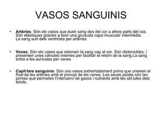 Aparell cardiocirculatori | PPT