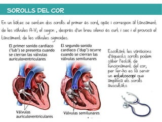 Aparell circulatori | PDF