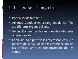 Aparell circulatori | PPT