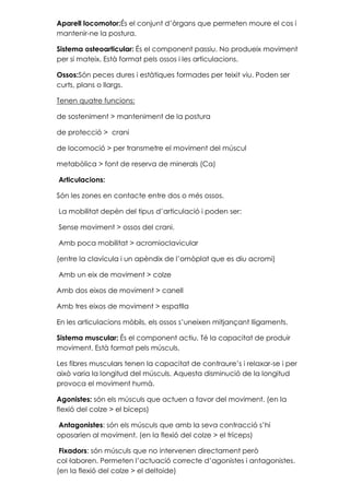 Aparell locomotor | PDF