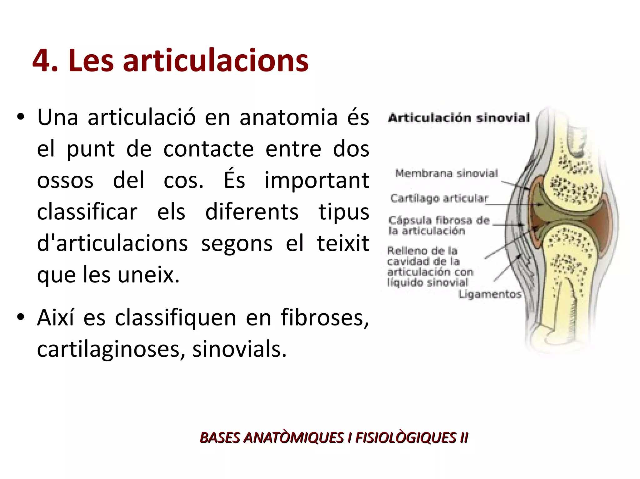 Aparell Locomotor | ODP