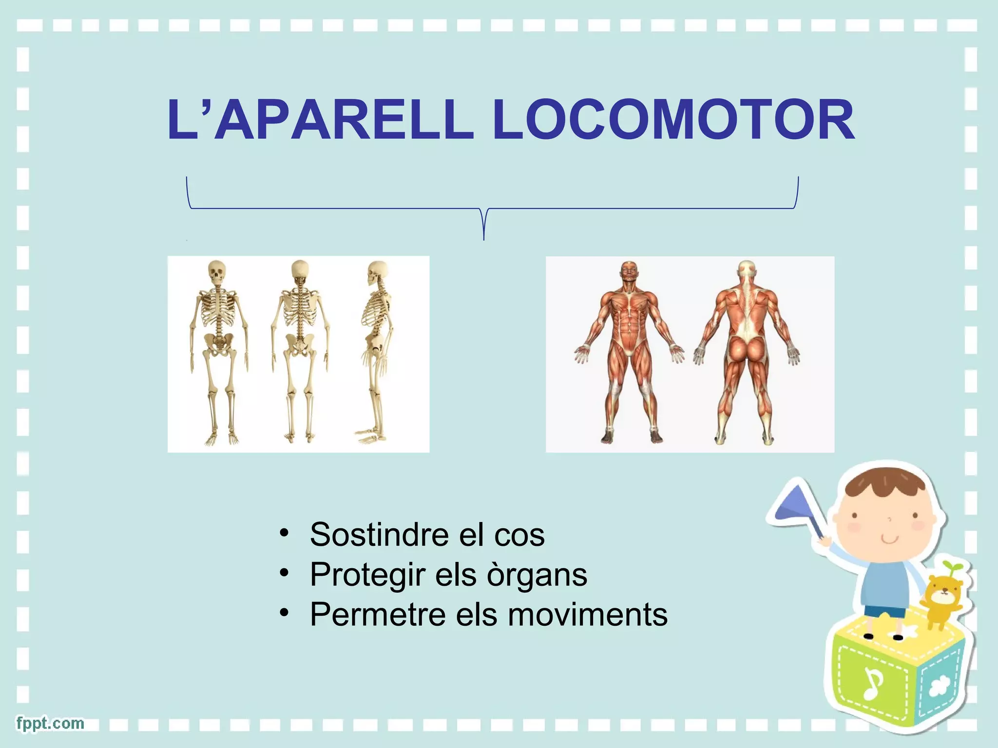 Aparell locomotor | PPT