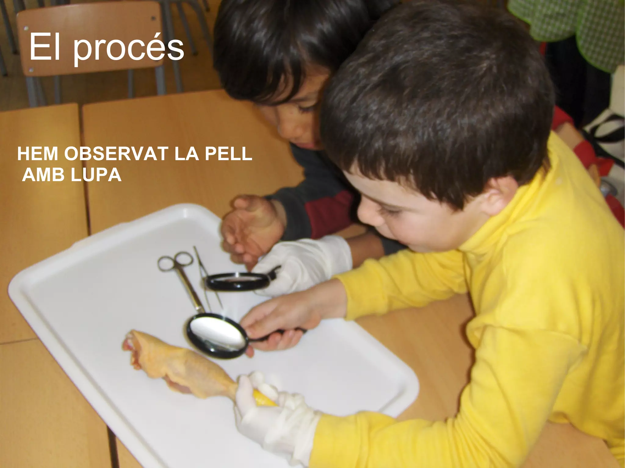 Aparell locomotor | PPT