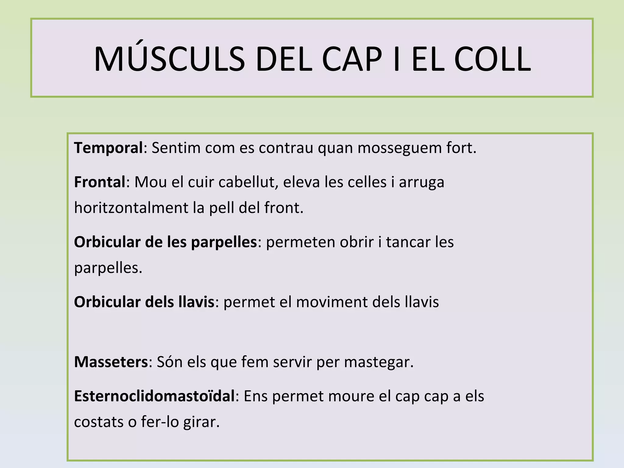 Aparell locomotor músculs | PPT