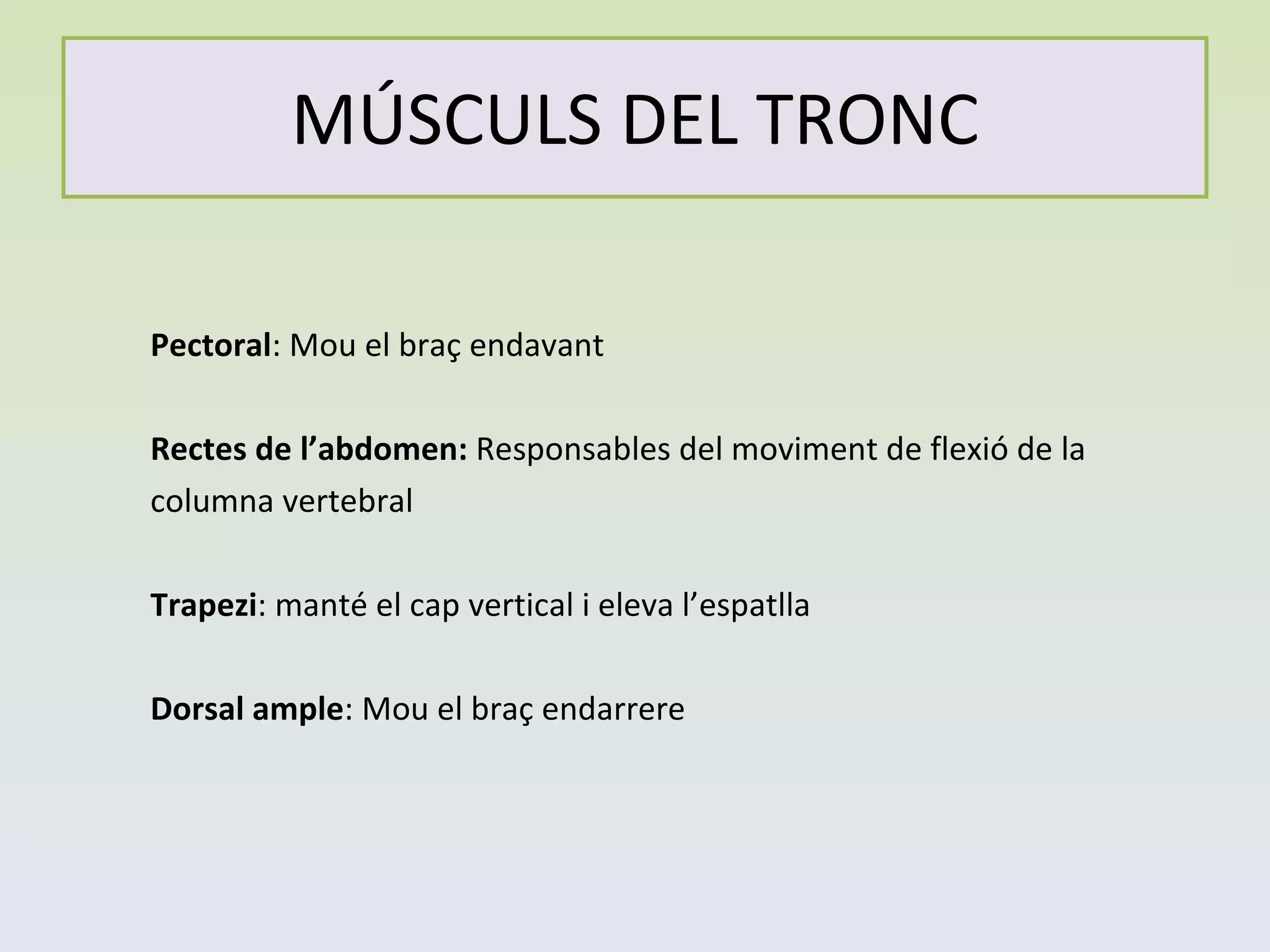 Aparell locomotor músculs | PPT