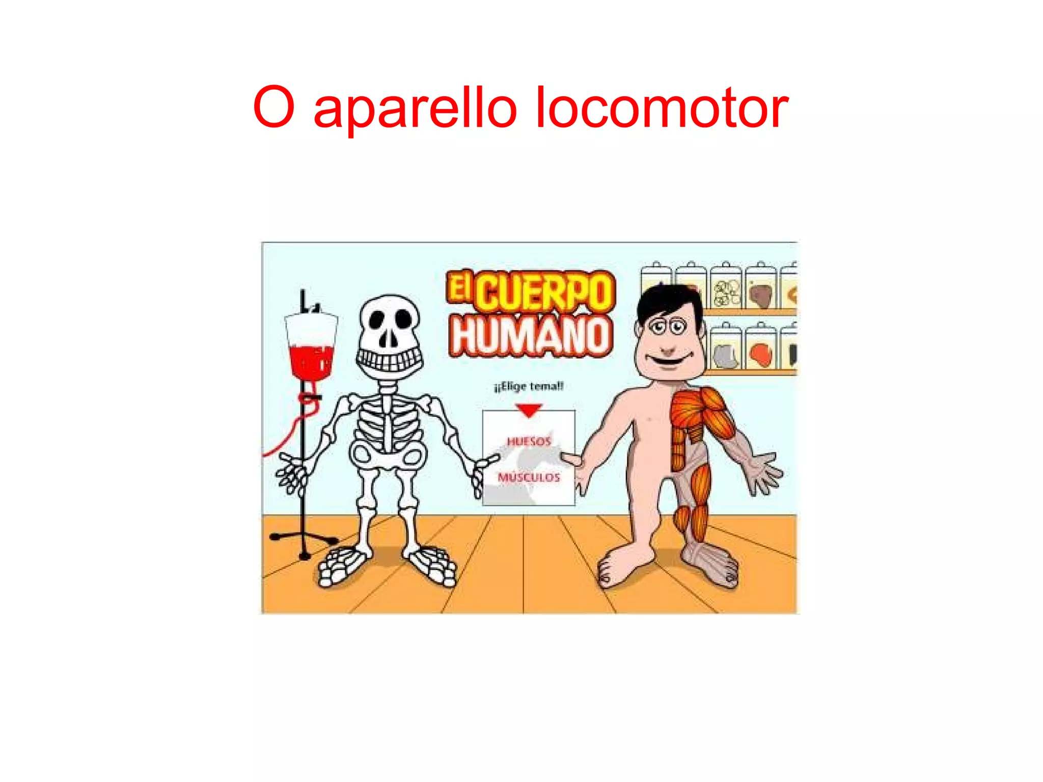 Aparello Locomotor | ODP