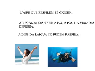 Aparell respiratori | PPT