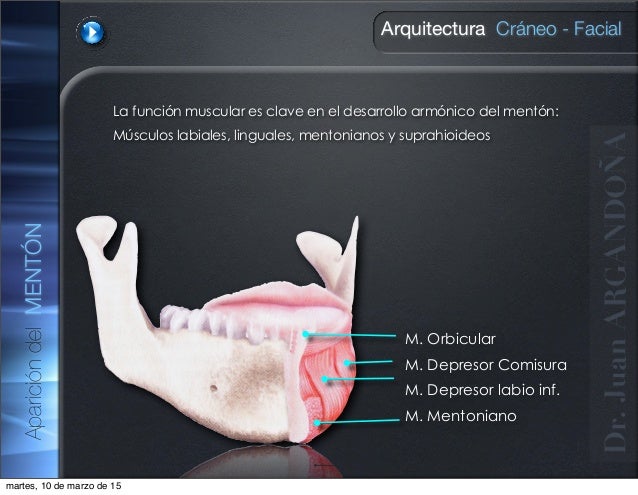 Aparición del Mentón