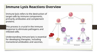 Immunocytochemical And Immunohistological Assay And Immune Lysis ...