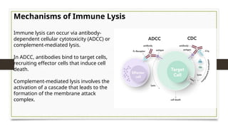 Immunocytochemical And Immunohistological Assay And Immune Lysis ...
