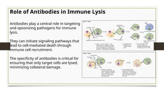 Immunocytochemical And Immunohistological Assay And Immune Lysis ...