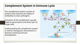 Immunocytochemical And Immunohistological Assay And Immune Lysis ...