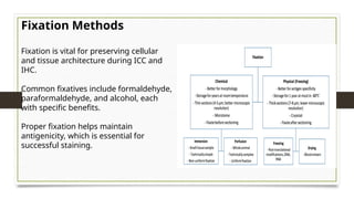 Immunocytochemical And Immunohistological Assay And Immune Lysis ...