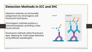 Immunocytochemical And Immunohistological Assay And Immune Lysis ...