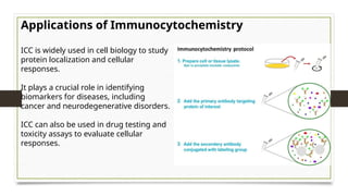 Immunocytochemical And Immunohistological Assay And Immune Lysis ...