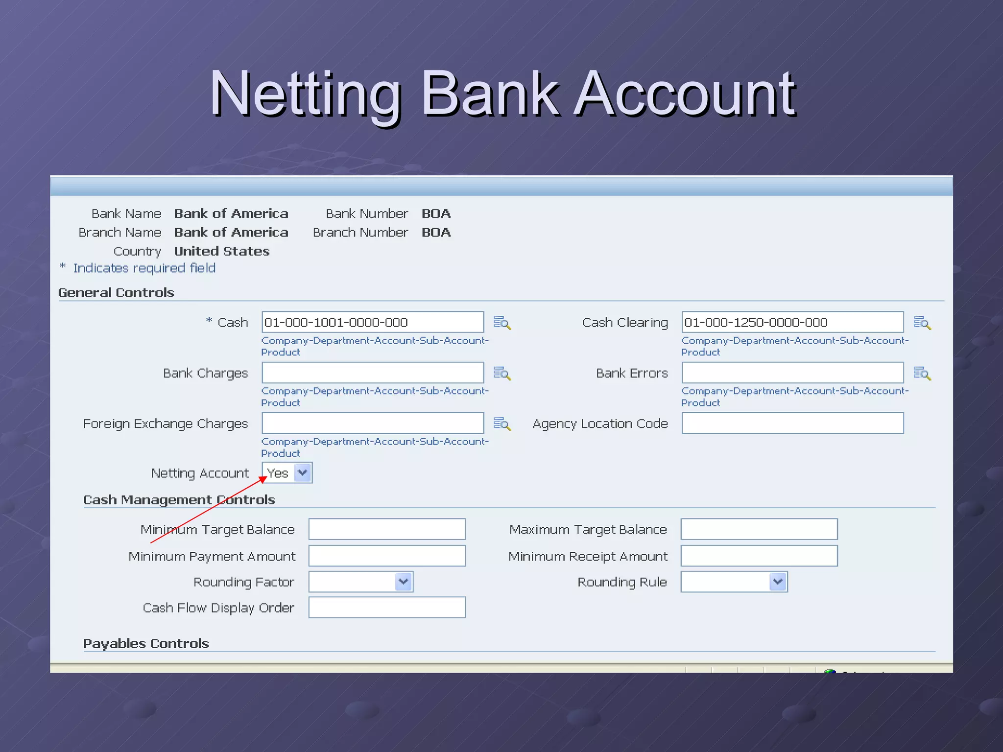 AP/AR Netting R12 | PPT