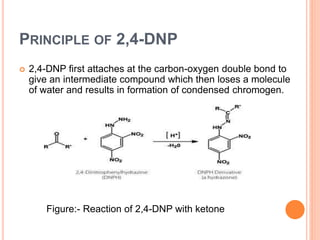 APA seminar (1).pptx