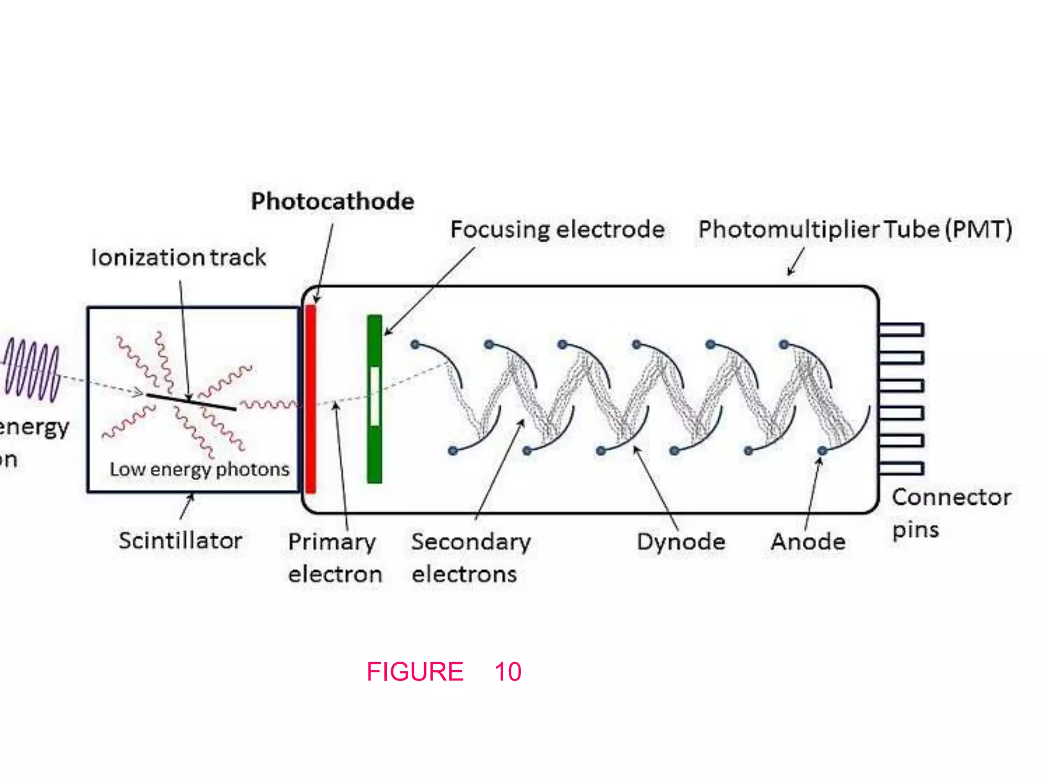 FLUORIMETRY | PPTX