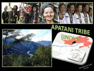 Apatani Tribe (India) | PPTX