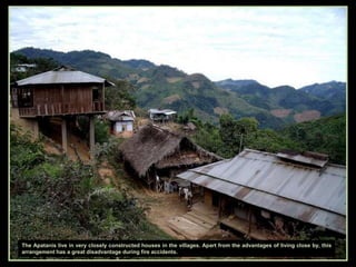 Apatani Tribe (India) | PPTX