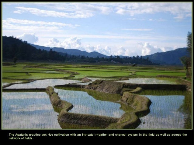 Apatani Tribe (India)