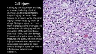 A Pathological Journey through Cell Injury, Death.pptx