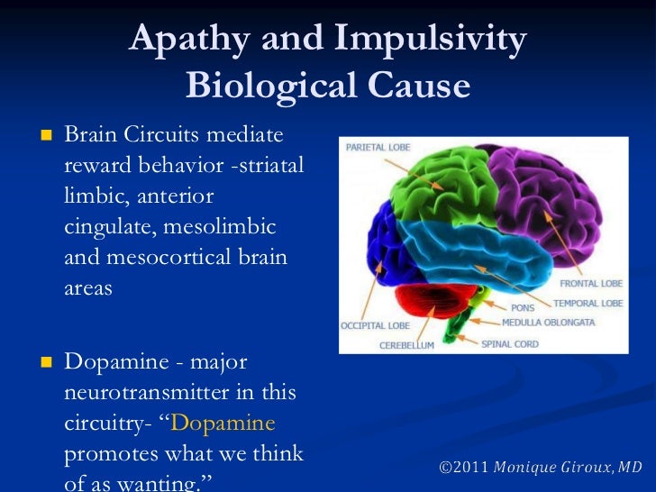 Apathy impulsivity and motivation with parkinson's nwpf 2011