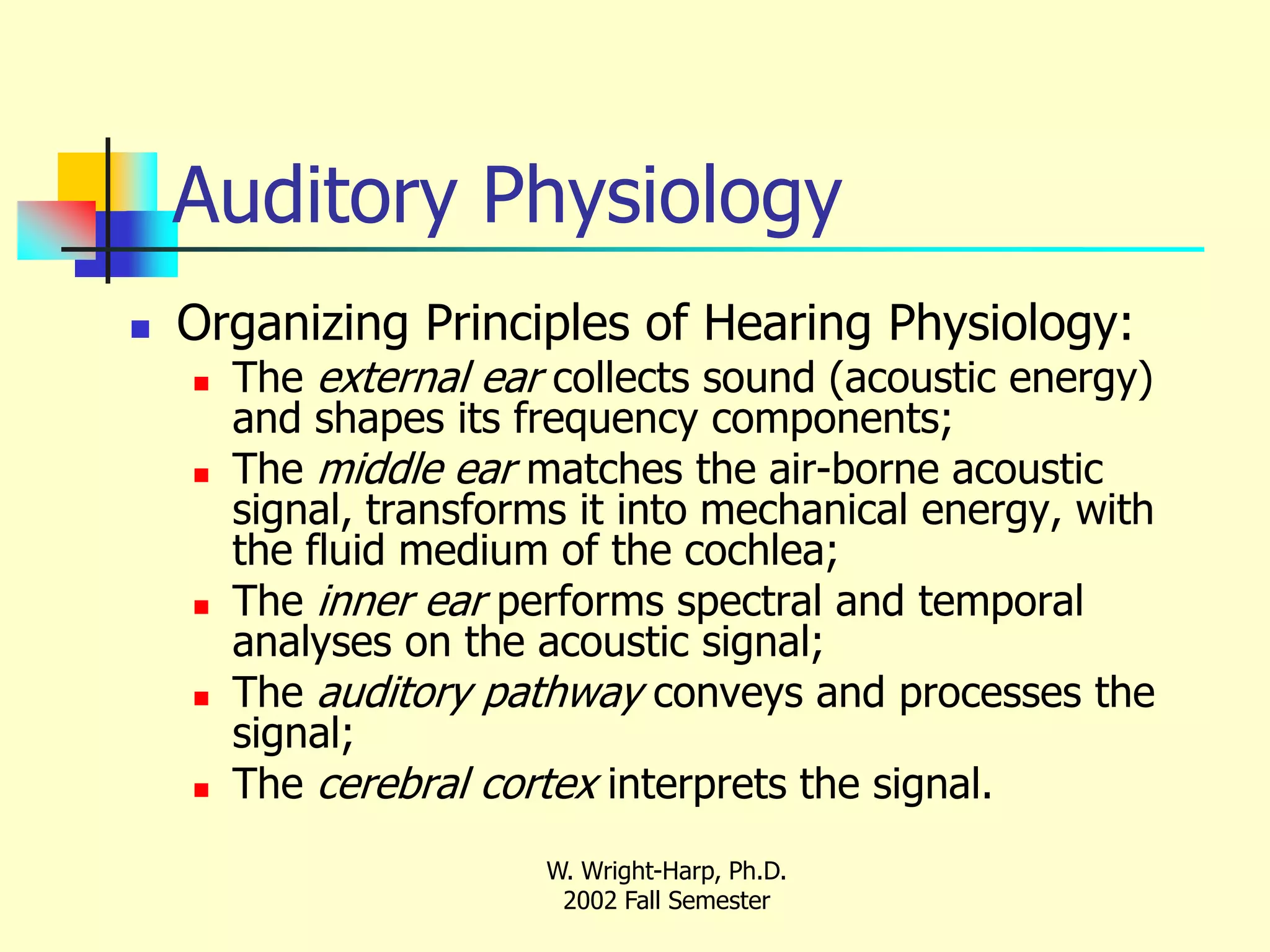 A & P Auditory Physiology 2009 Slideshow | PPSX | Digital Audio ...