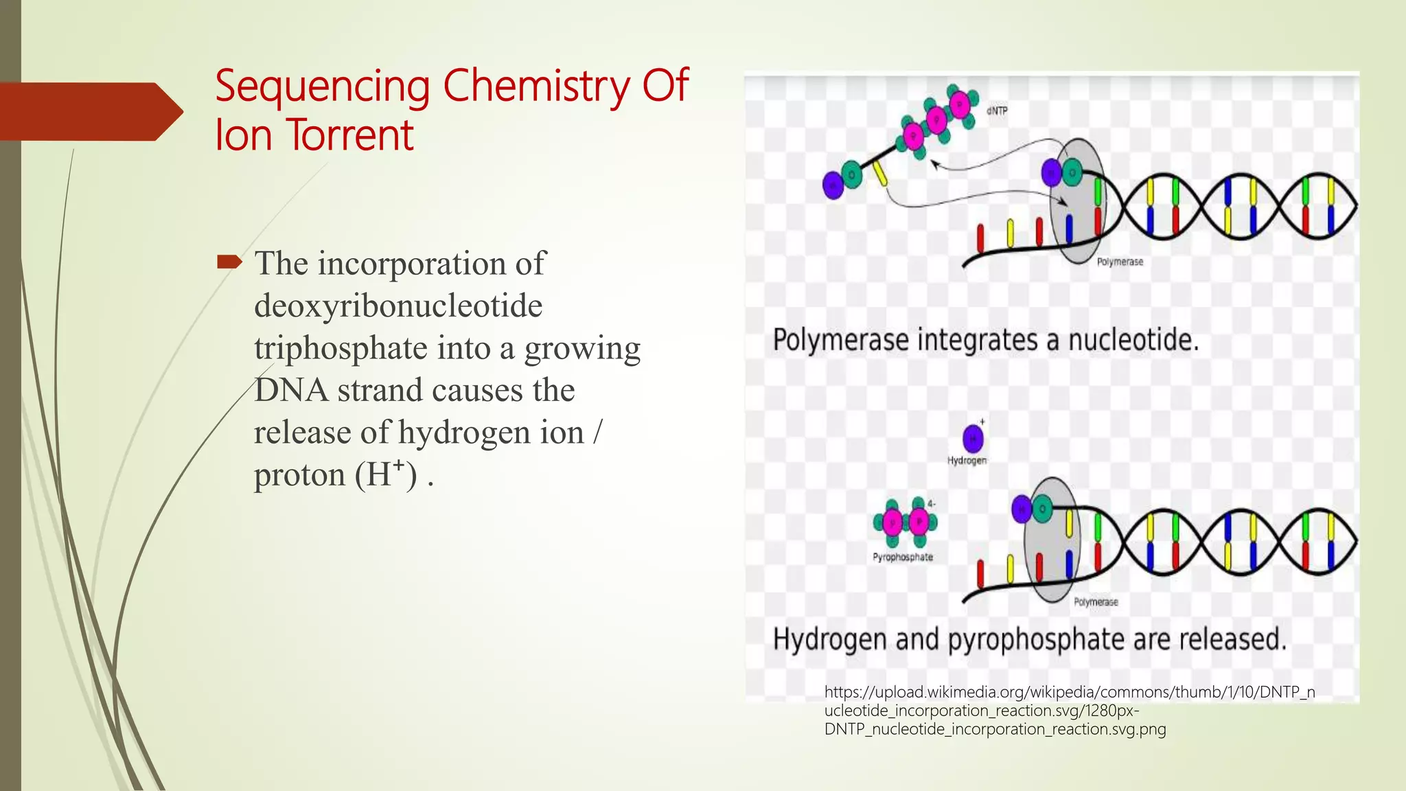 Ion Torrent Sequencing | PPTX