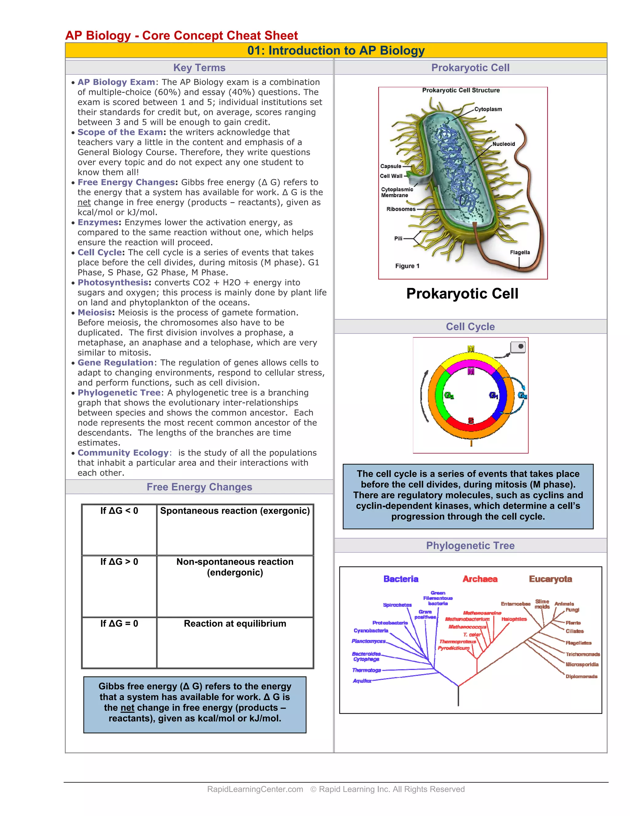 Introduction to AP Biology Cheat sheet | PDF