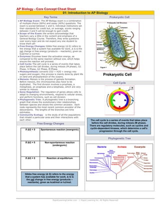 Introduction to AP Biology Cheat sheet | PDF