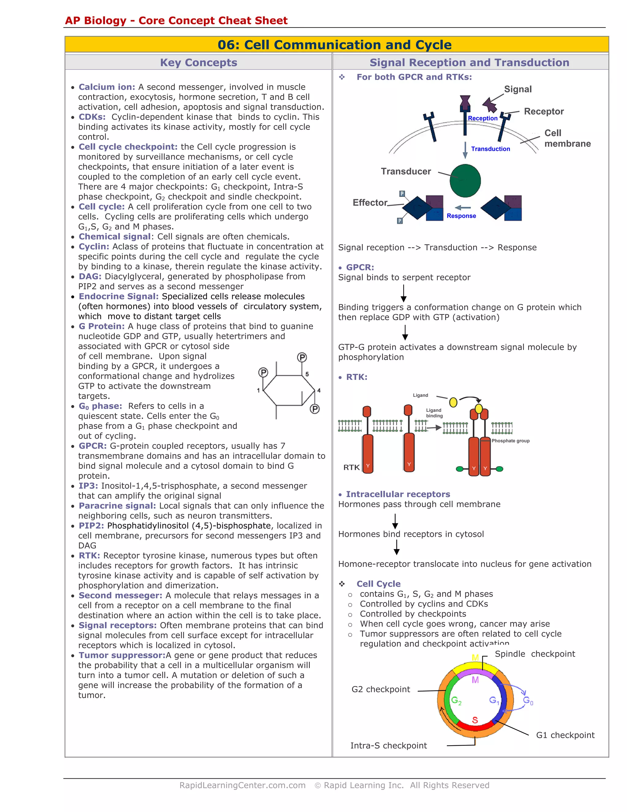 cell_communication cheat sheet | PDF