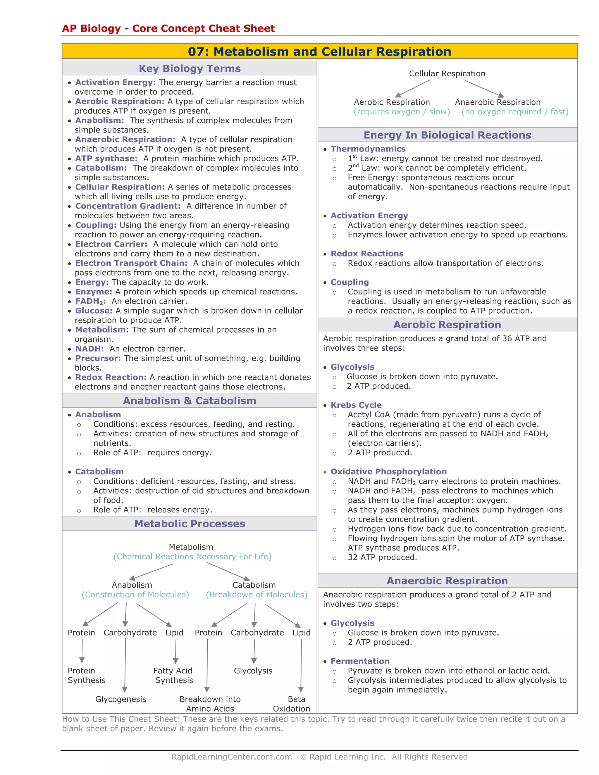 Cheat sheet metabolism | PDF