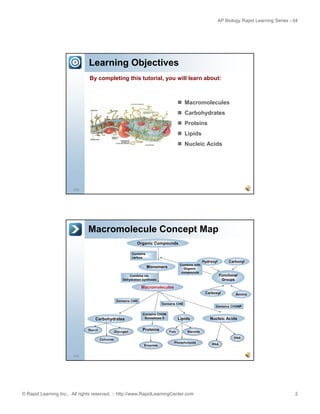 Macromolecules Concept Map