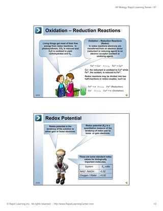 Metabolism & Cellular Respiration | PDF