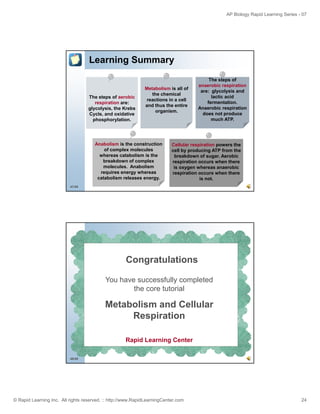 Metabolism & Cellular Respiration | PDF