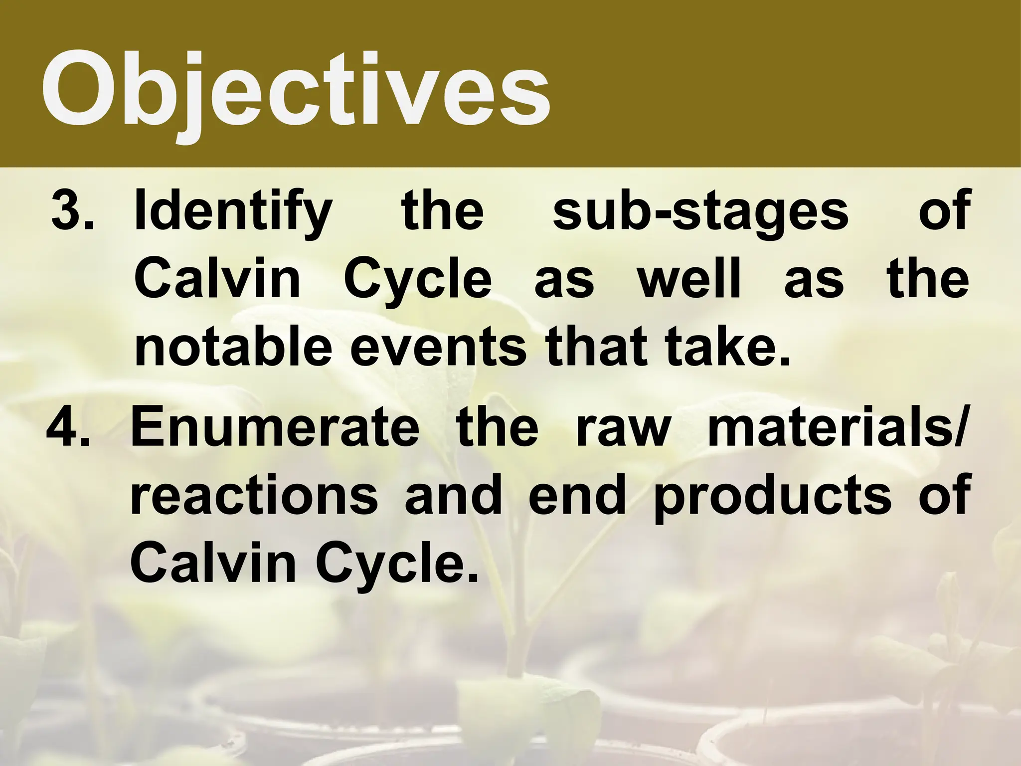 Photosynthesis, light dependent and light independent | PPTX