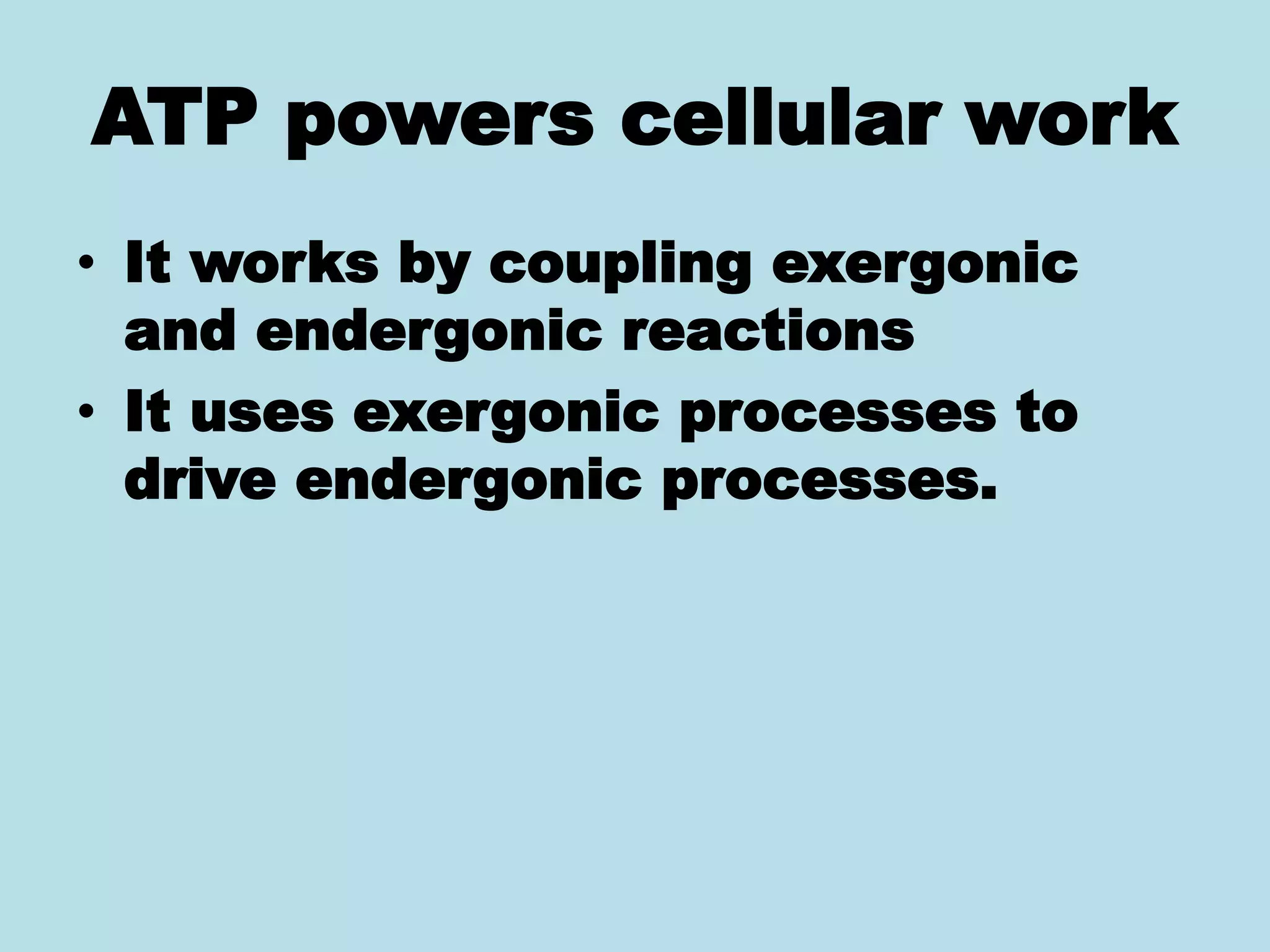 Cellular Respiration - AP Biology | PPTX