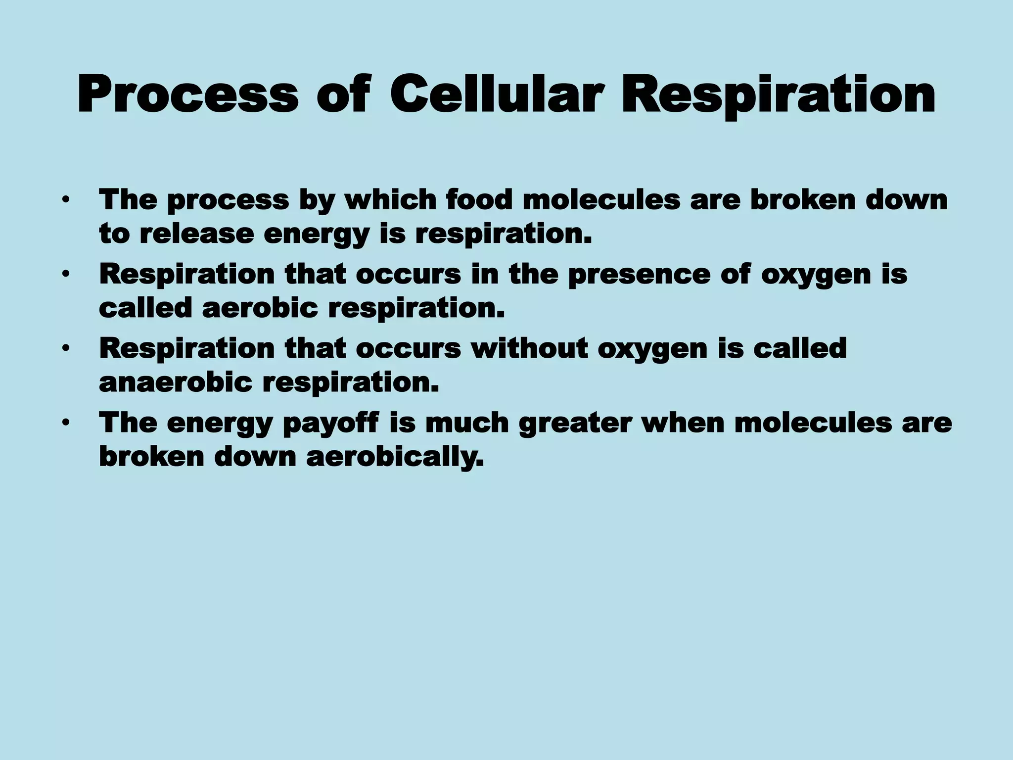 Cellular Respiration - AP Biology | PPTX