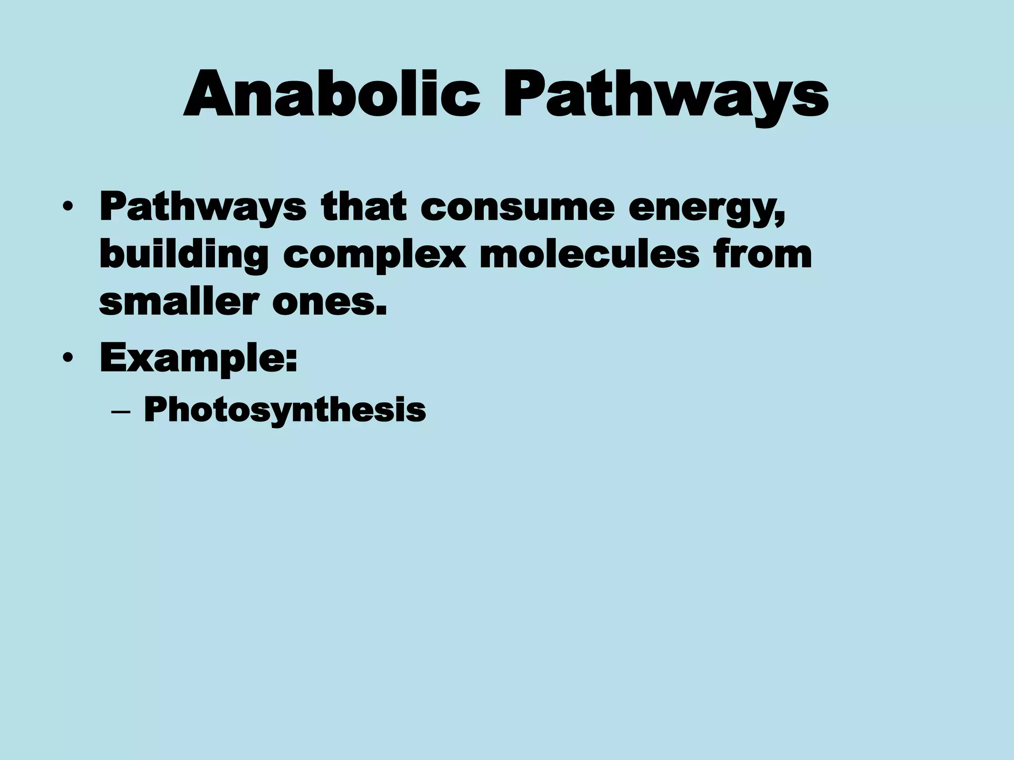 Cellular Respiration - AP Biology | PPTX