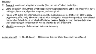 Ap bio ch. 43 part 2 immune humoral immunity (2) | PPT
