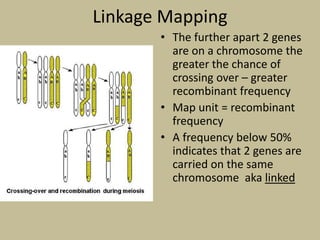 AP_Bio_Ch_12_15_.ppt