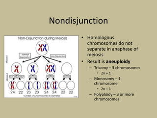 AP_Bio_Ch_12_15_.ppt