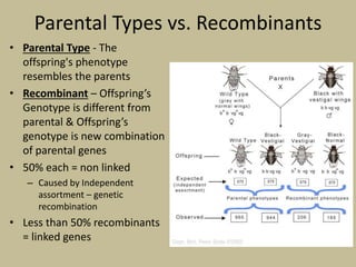 AP_Bio_Ch_12_15_.ppt