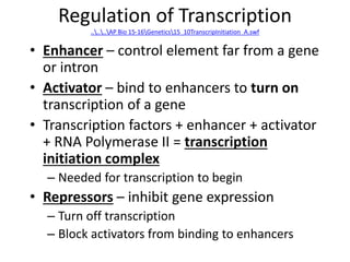 AP_Bio_Ch_15.ppt | Chemistry | Science