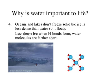 Ap bio ch 2 ppt The Chemistry of Life and Water | PPTX