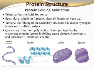 Protein Structure Animation Powerpoint