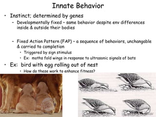 Ap Bio Ch 35 Behavior PPT | PPT
