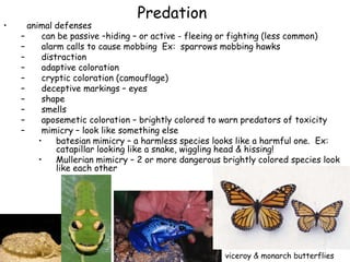 Ap Bio ch 37 Communties & Ecosystems PPT | PPT